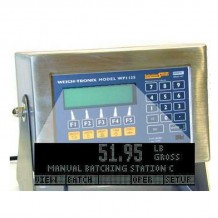 Indicadores de básculas (2) - ISP Basculas