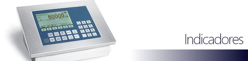 Indicadores de básculas (2) - ISP Basculas